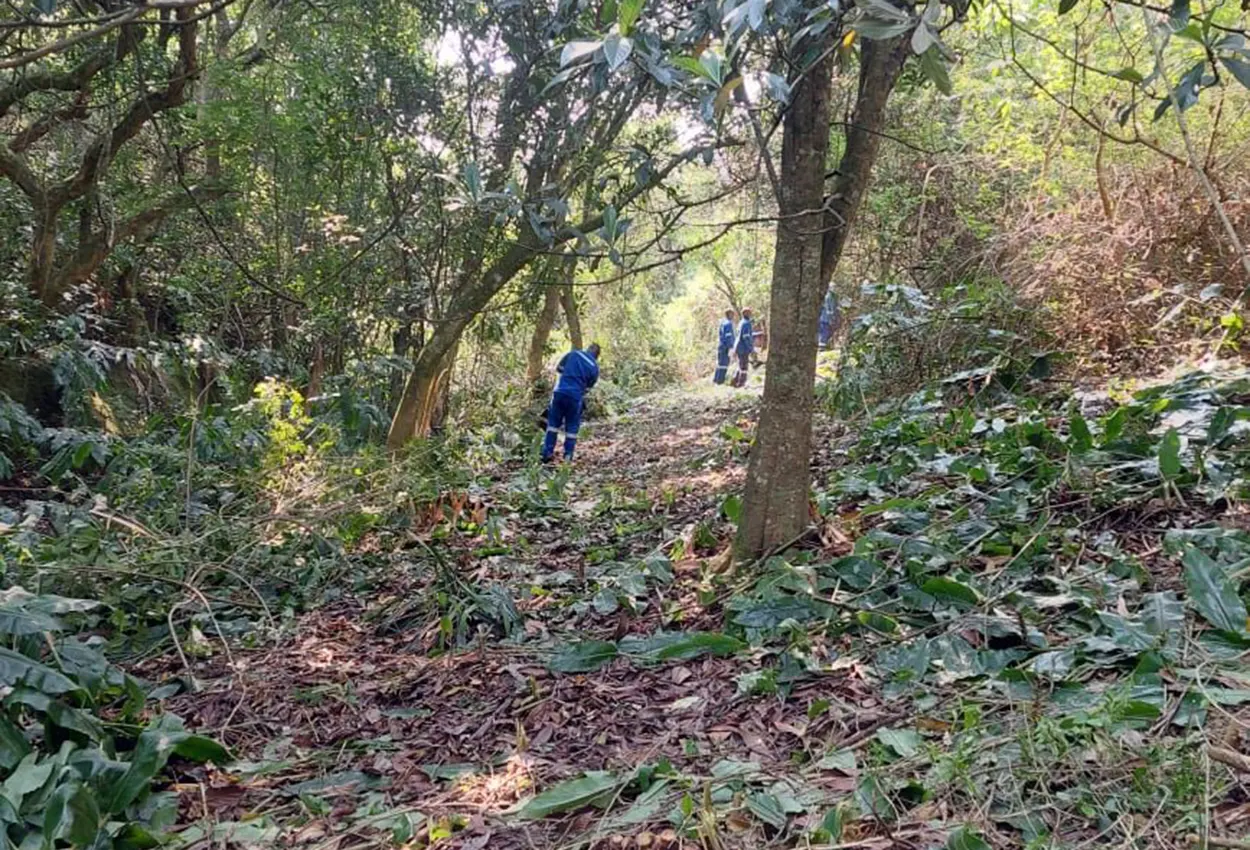 Trail | Paw Prints Rescue & Rehoming