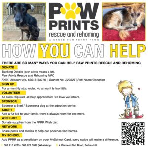 How you can help | Paw Prints Rescue & Rehoming