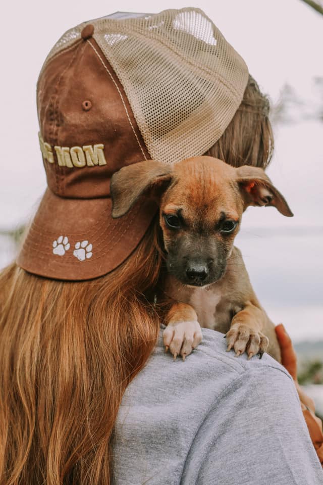 202-THRIVE | Paw Prints Rescue & Rehoming