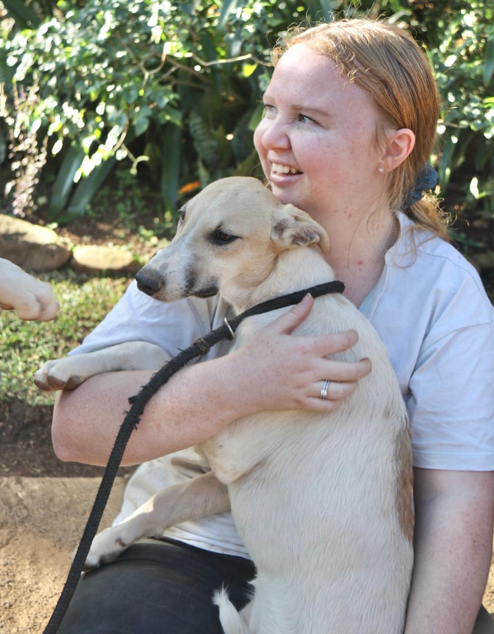 Adopt | Paw Prints Rescue & Rehoming